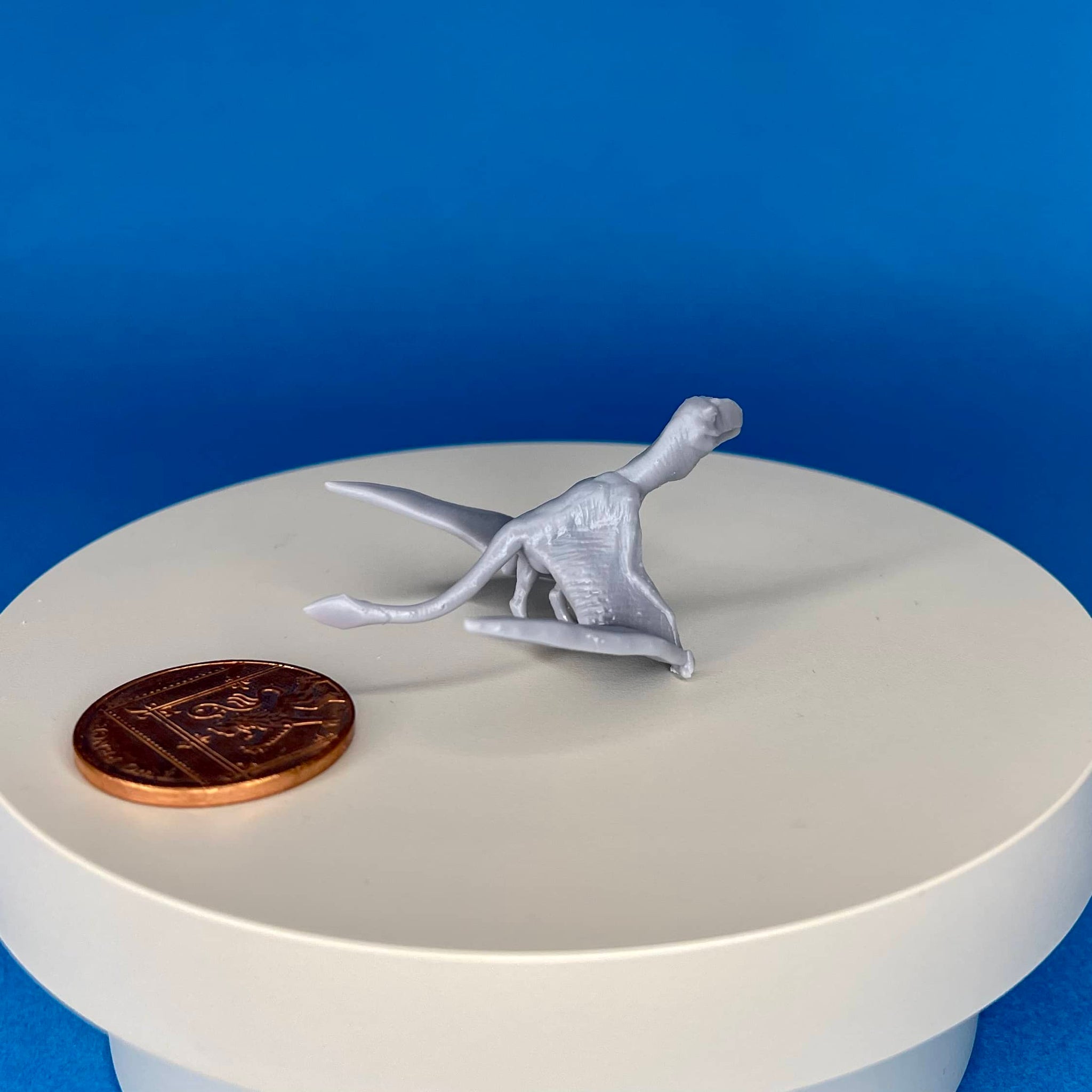 Dimorphodon Miniature – Print Me Crazy